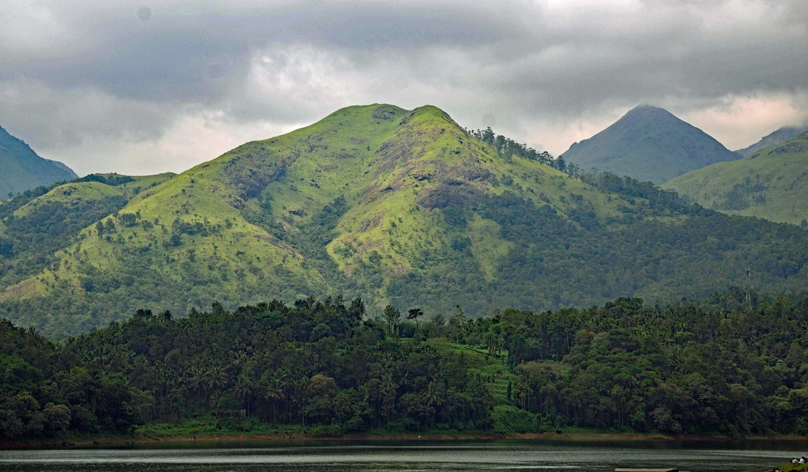 TGG India – Building a Sustainable and Inclusive Future